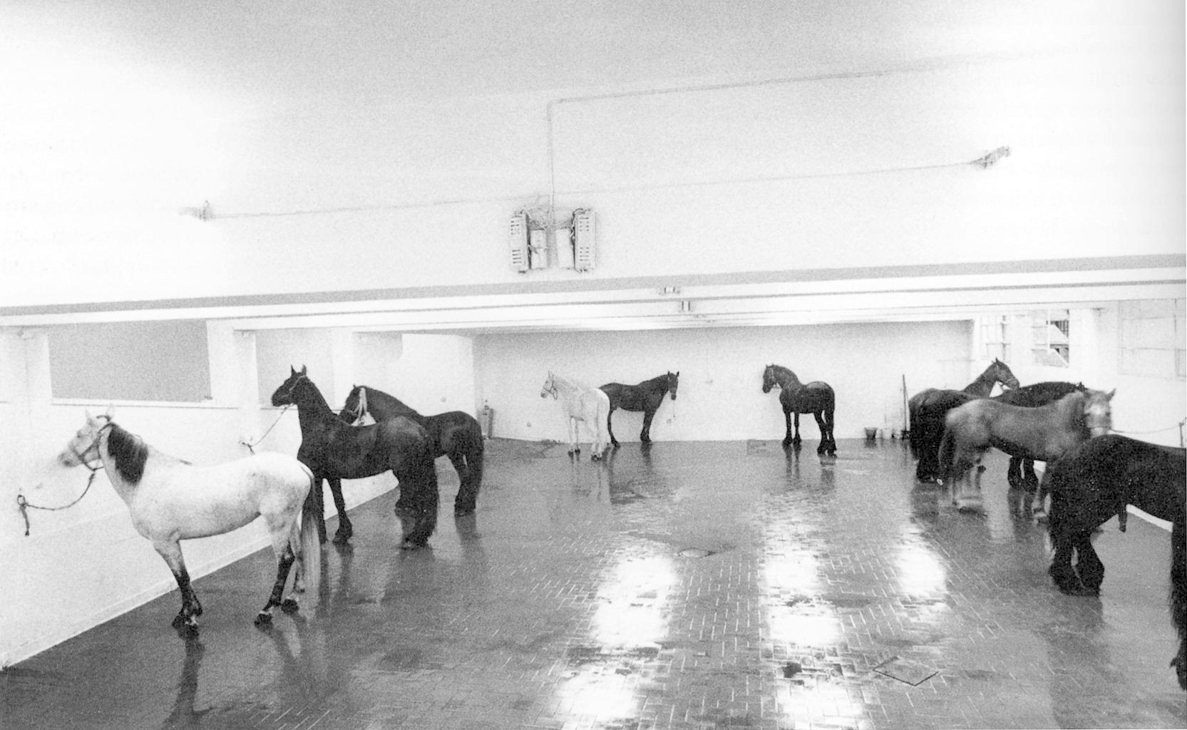 Ara Merjian’s Against the Avant-Garde: Pier Paolo Pasolini ...