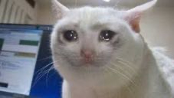 Part I: Despair. Mourning and Viral Displacement / Catalina Segú – ASAP/J