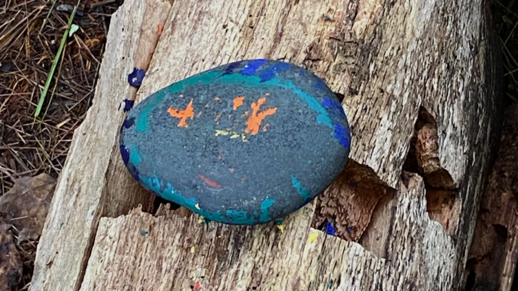 Posthuman Scale and the Care to Come / Rocks and Kindness / Caren Irr ...