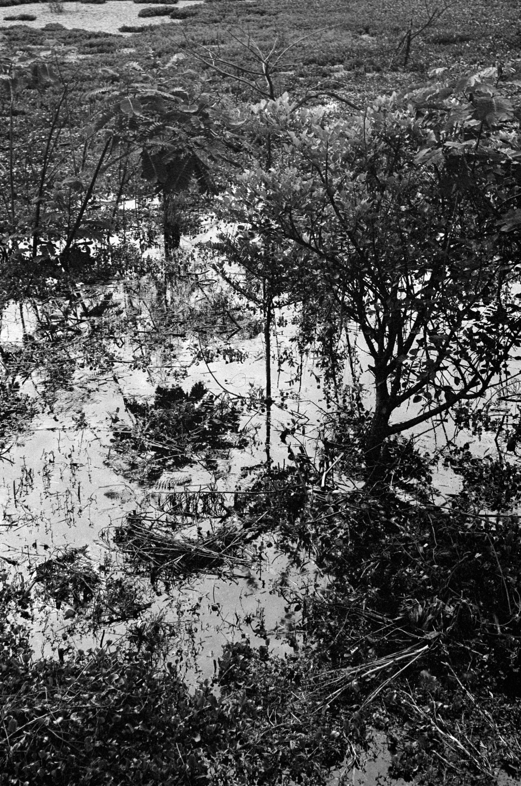 GeoSemantics / Soft Sedimentation / Alejandro Ponce de León and Dayana ...