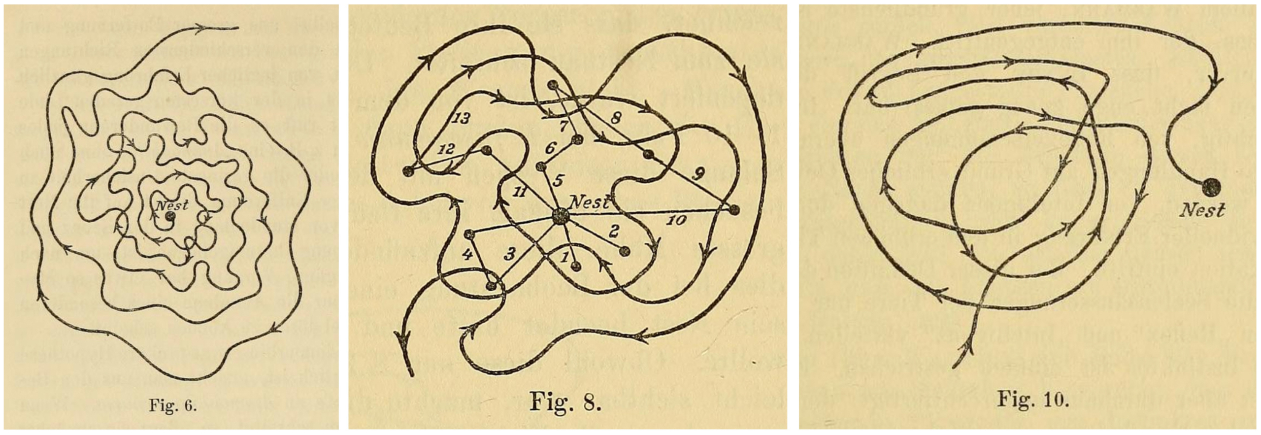 Uncanny Juxtapositions / A Brief Guide to Getting Lost at the Tap Water ...